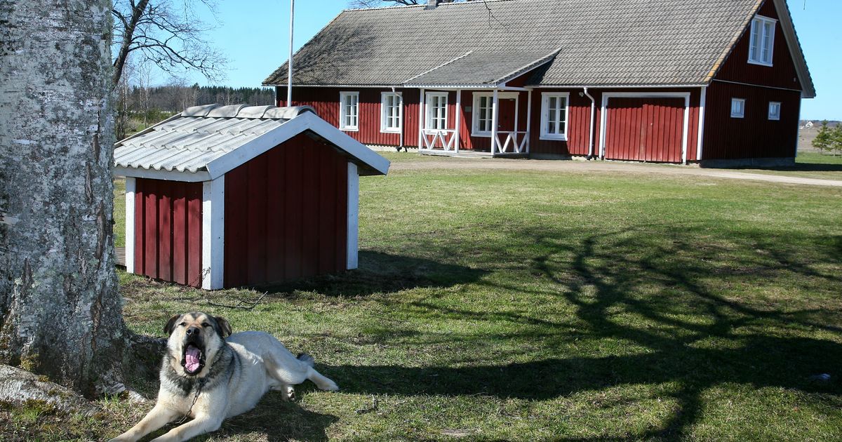 Põrandaalused ehitised tuleb aasta lõpuks registrisse kanda