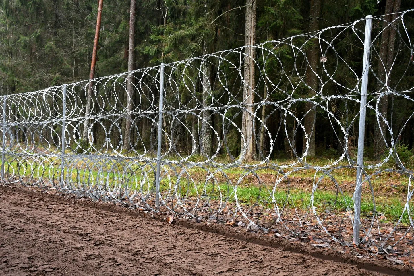 Estonian police deploy unit to Latvia-Belarus border amid migratory ...