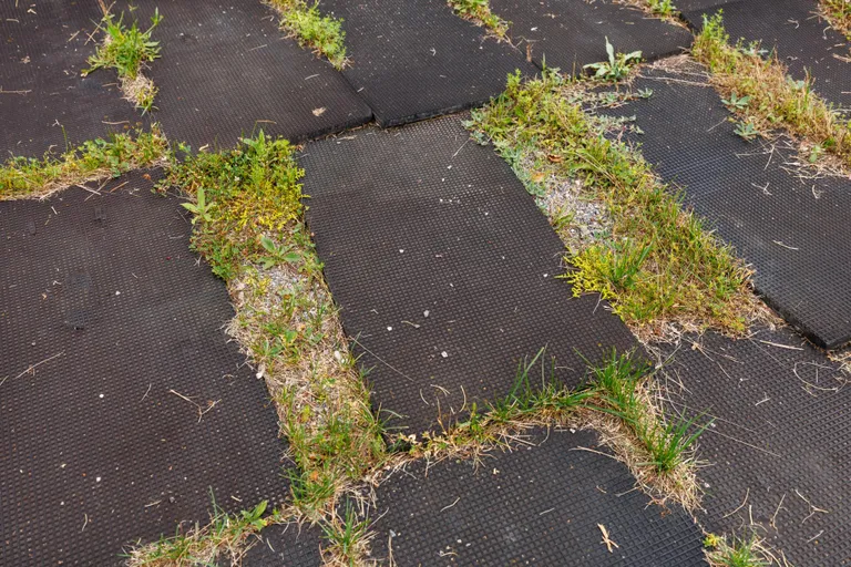 GALERII Häädemeeste keskkooli staadioni uuendamine on vindunud ...