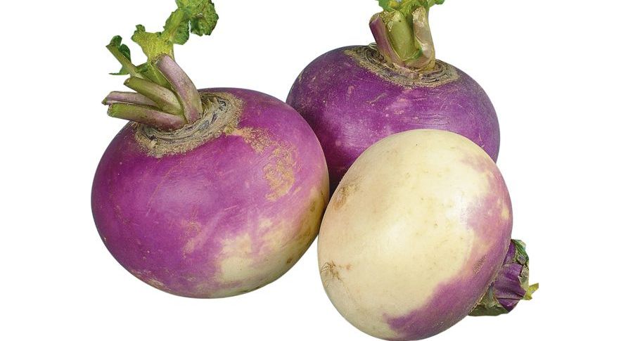 C-vitamiinirikkad sugulased kaalikas ja naeris - Köök - 60 Pluss