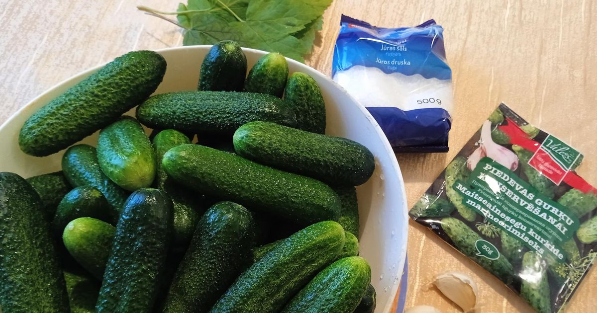 kiire hapukurk - Maa Elu