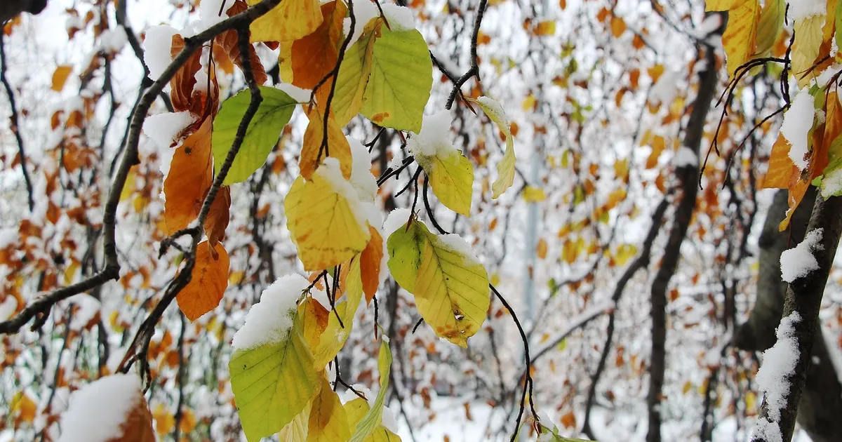 HOIATUS Ilmaolud muutuvad talvisemaks