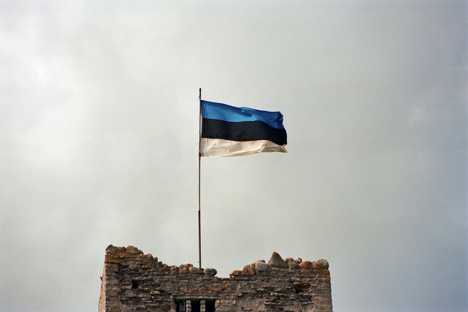 USA väljaanne: Eesti võib saada uueks Silicon Valleyks