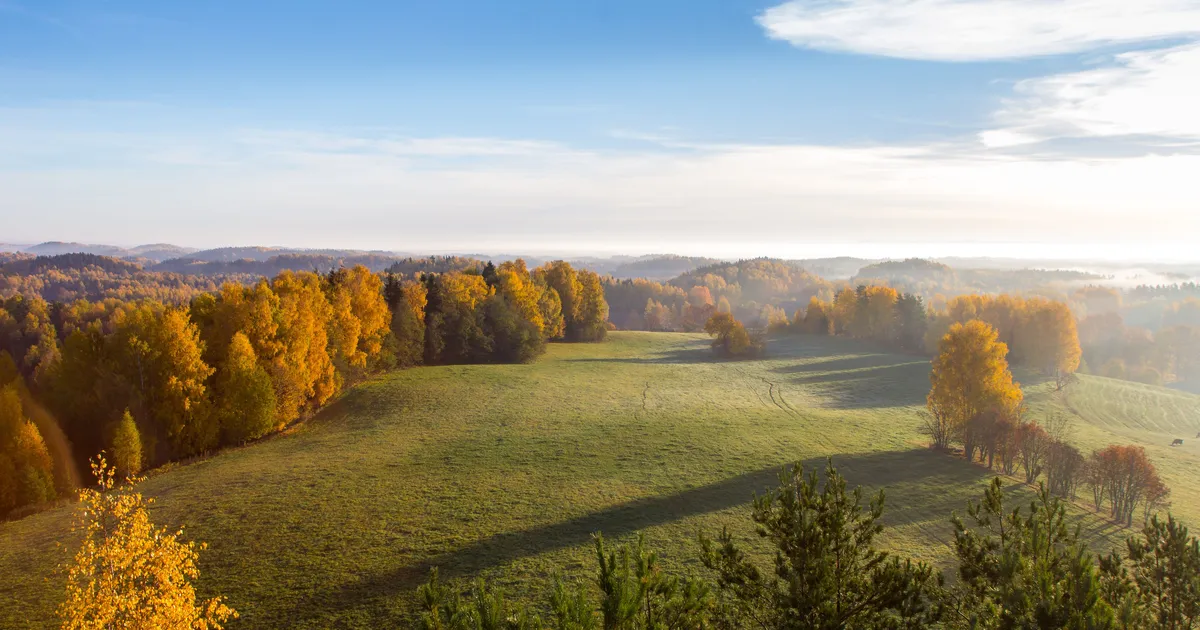 Mida on kliimamuutused Eesti looduses korda saatnud ja milline on tulevik?