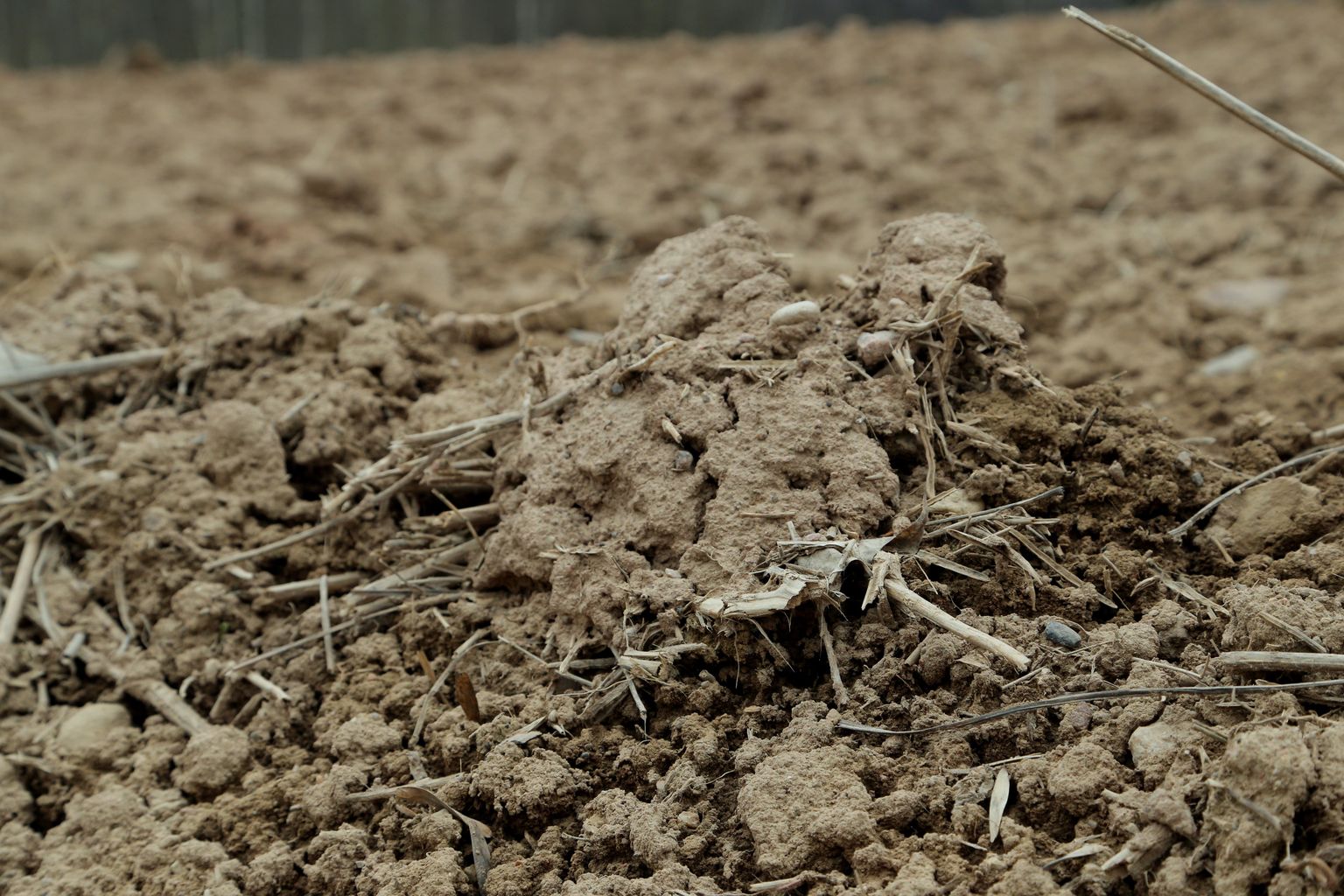 Otsustatud: vaid nendel tingimustel võib reoveesettest tehtud mulda ...