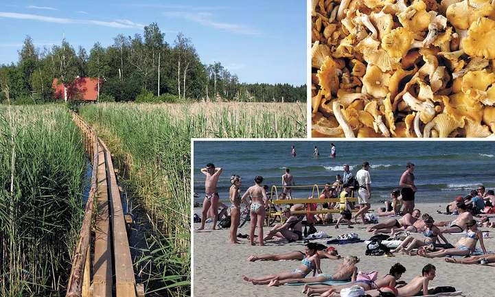 JUURIKAS Ma tean, mida sa suvel teed