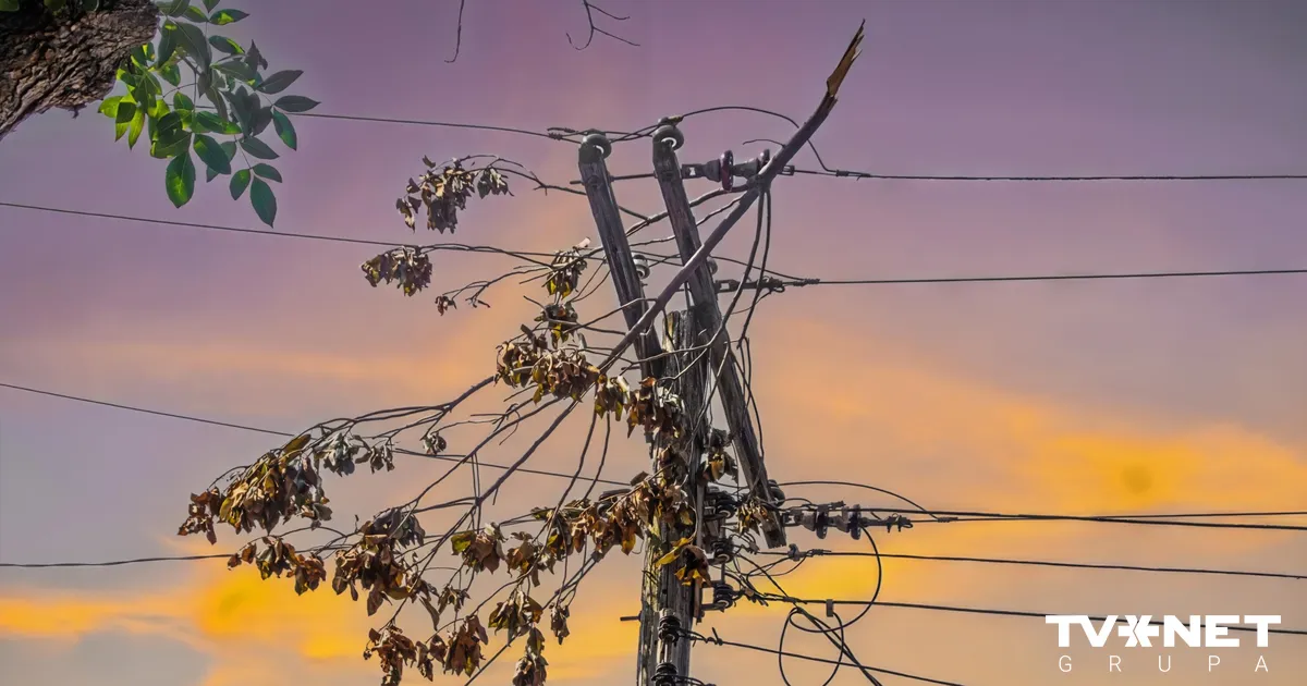 "Sadales tīkls" sadarbosies ar igauņiem plaša mēroga bojājumu novēršanā