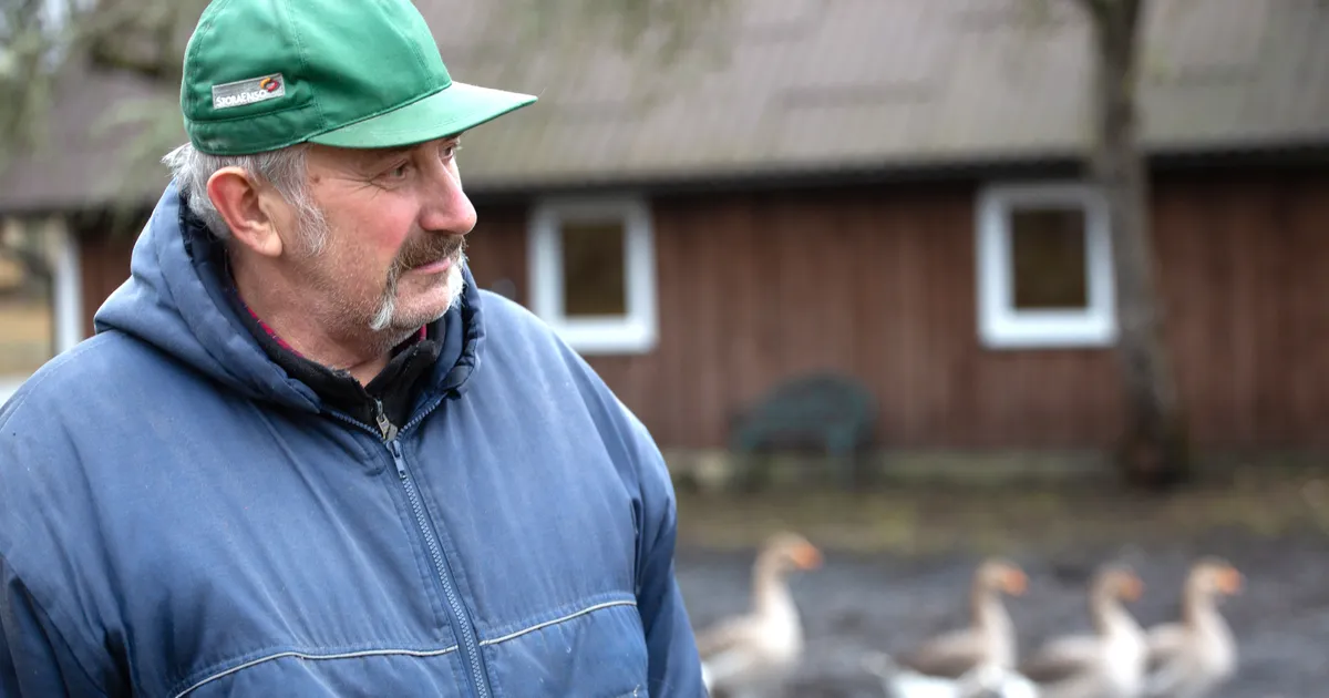 KÜLALOOD August Metsalu laseb koduhanedel surra loomulikku surma