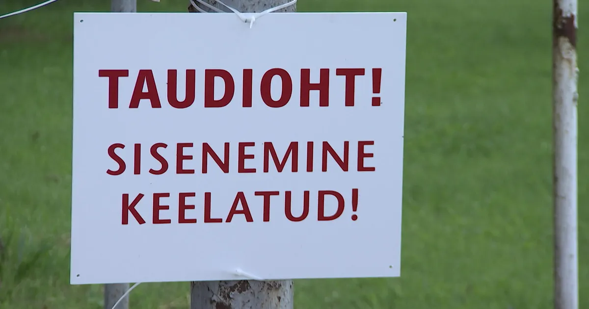 Eestis möllab sigade Aafrika katk