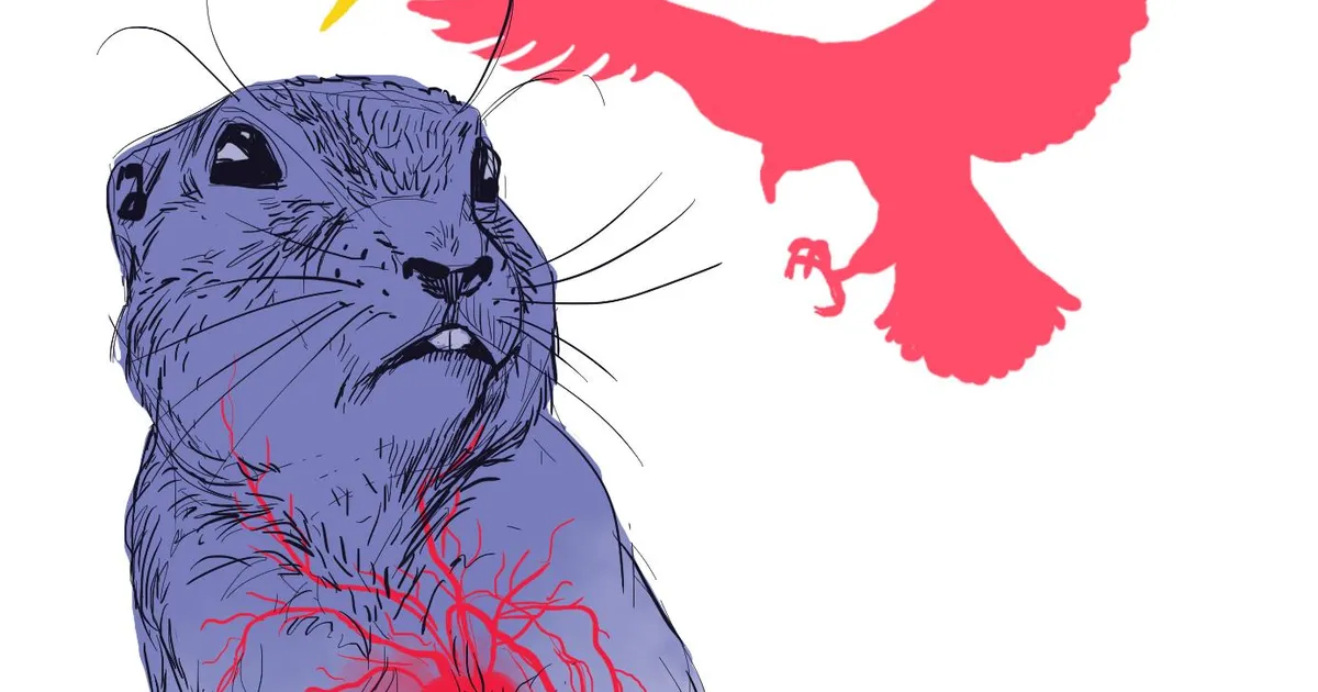 TUUL SEPP Stress aitab looduses toime tulla