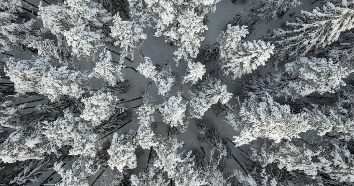 Talvine unenägu ilmutab end päriselt