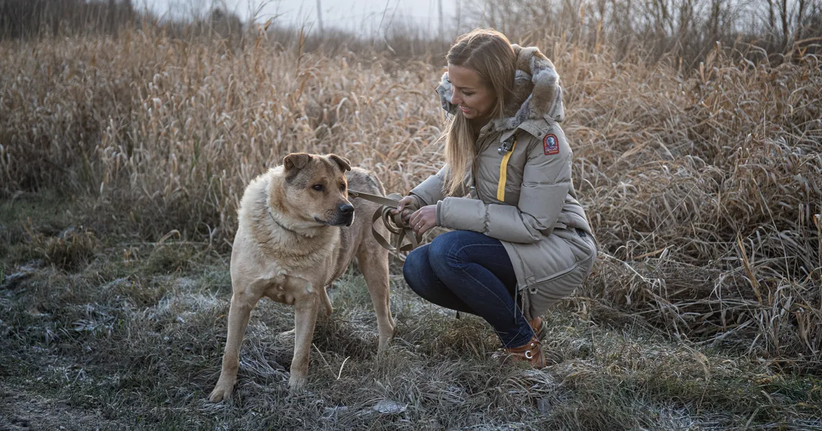 KERTU JUKKUM Sure, koer! Mida kiiremini, seda parem