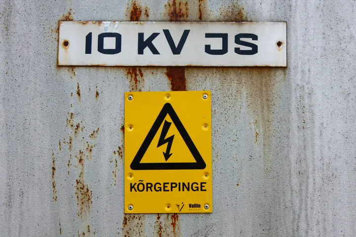 ROMAN BOGDANOVITŠ Gaas või tuumaenergia, see pole õige küsimus