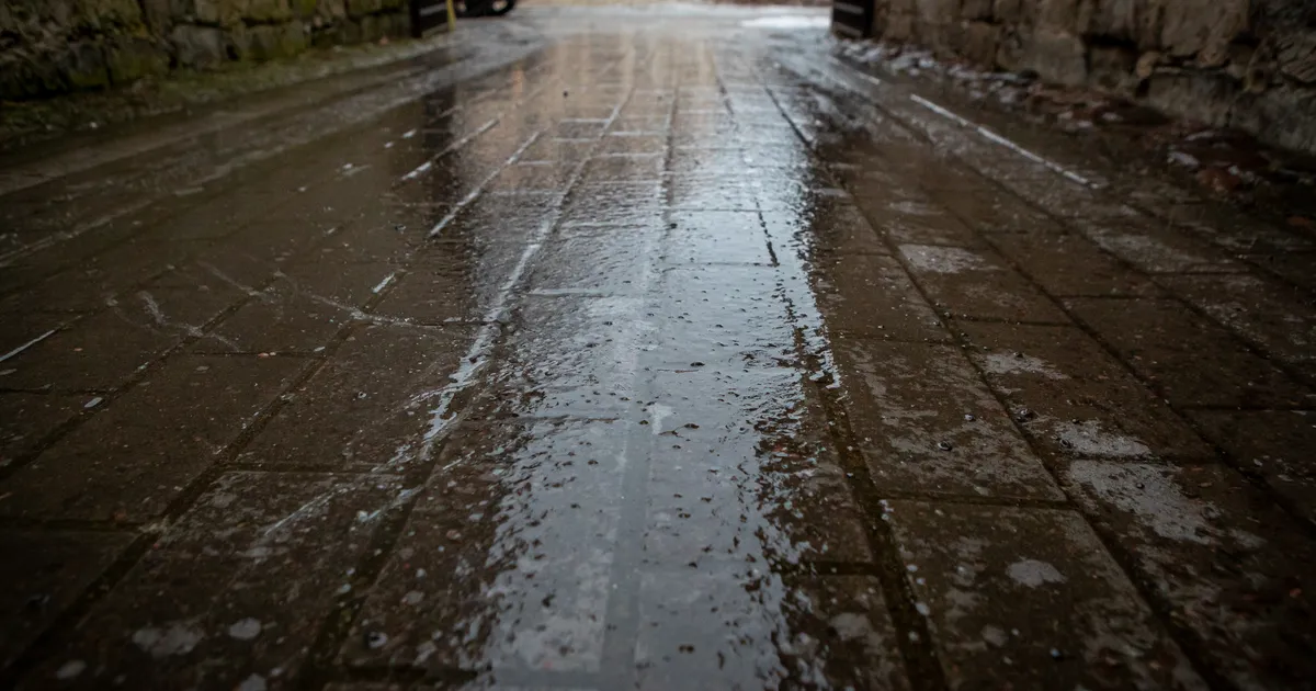 LUGEJA LUULETAB Libedus Kuressaares