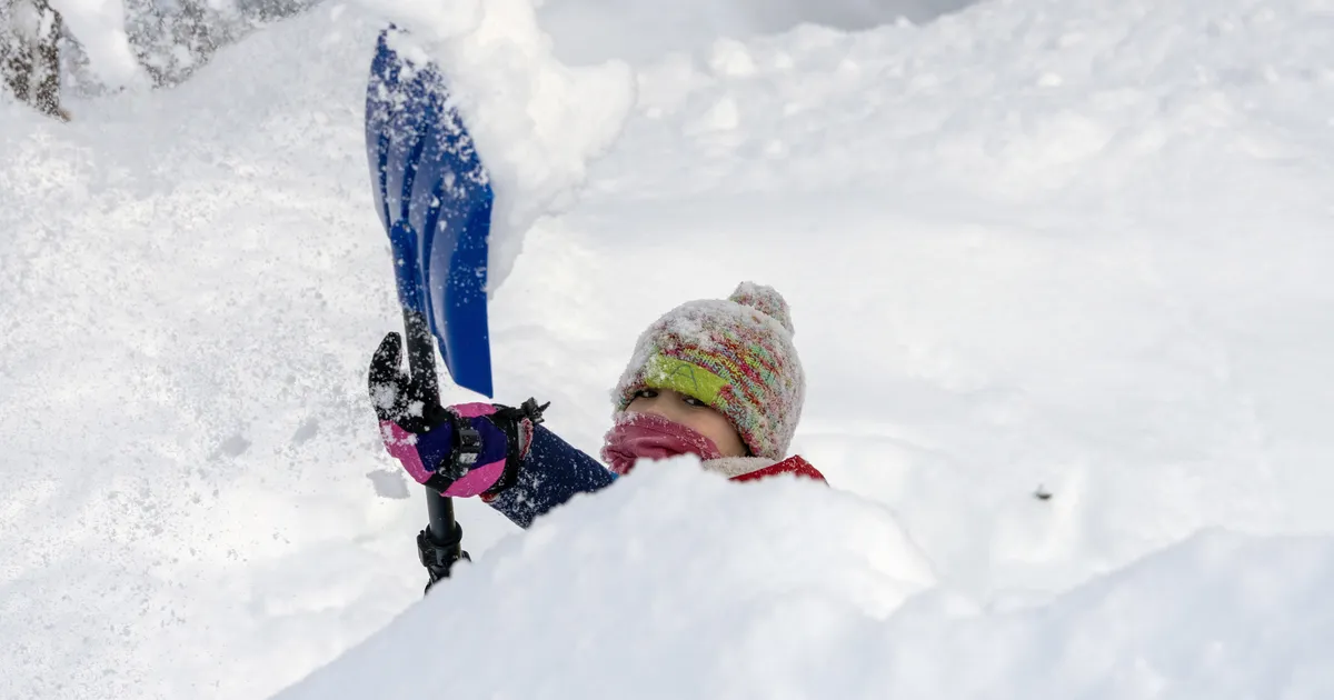 toronto liiklusõnnetused lumetormis - Postimees: Värsked uudised ...
