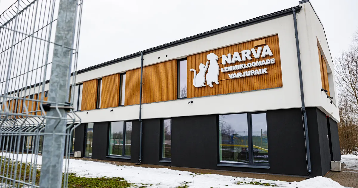 Narva uues loomade varjupaigas on kolmandik kohtadest täidetud