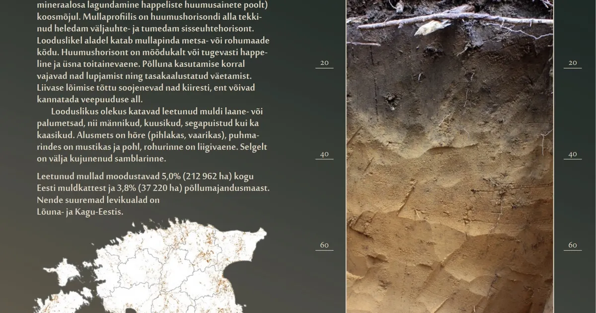 2023. aasta mullaks valiti liivane leetunud muld
