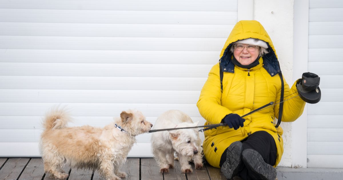 PILDID Ilus ilm meelitas pärnakad kodust välja