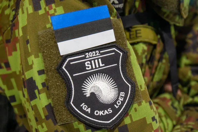 Kui kuuled sõna «siil», siis kellele sa mõtled?