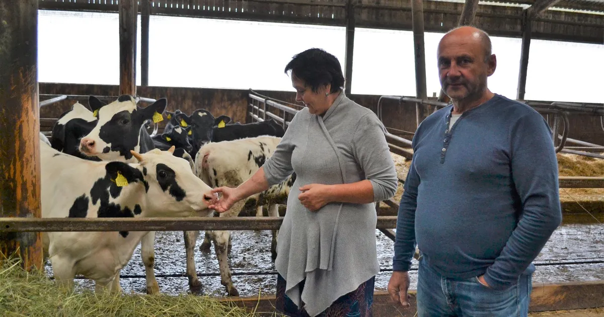 Edukas talu nõuab kogu pere panust