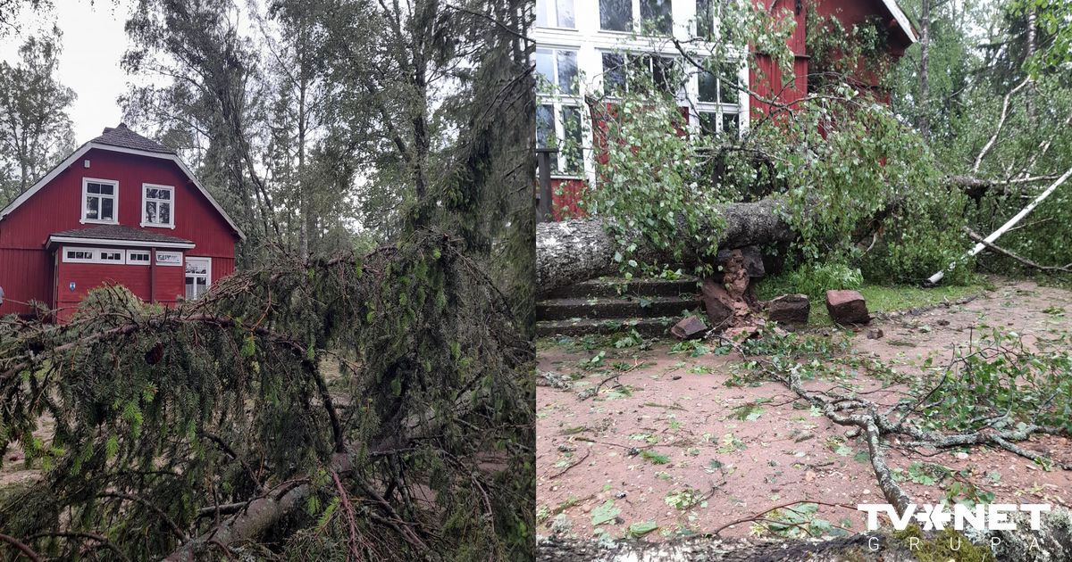 Kārļa Skalbes muzeja teritorijā spēcīgais vējš izgāzis kokus