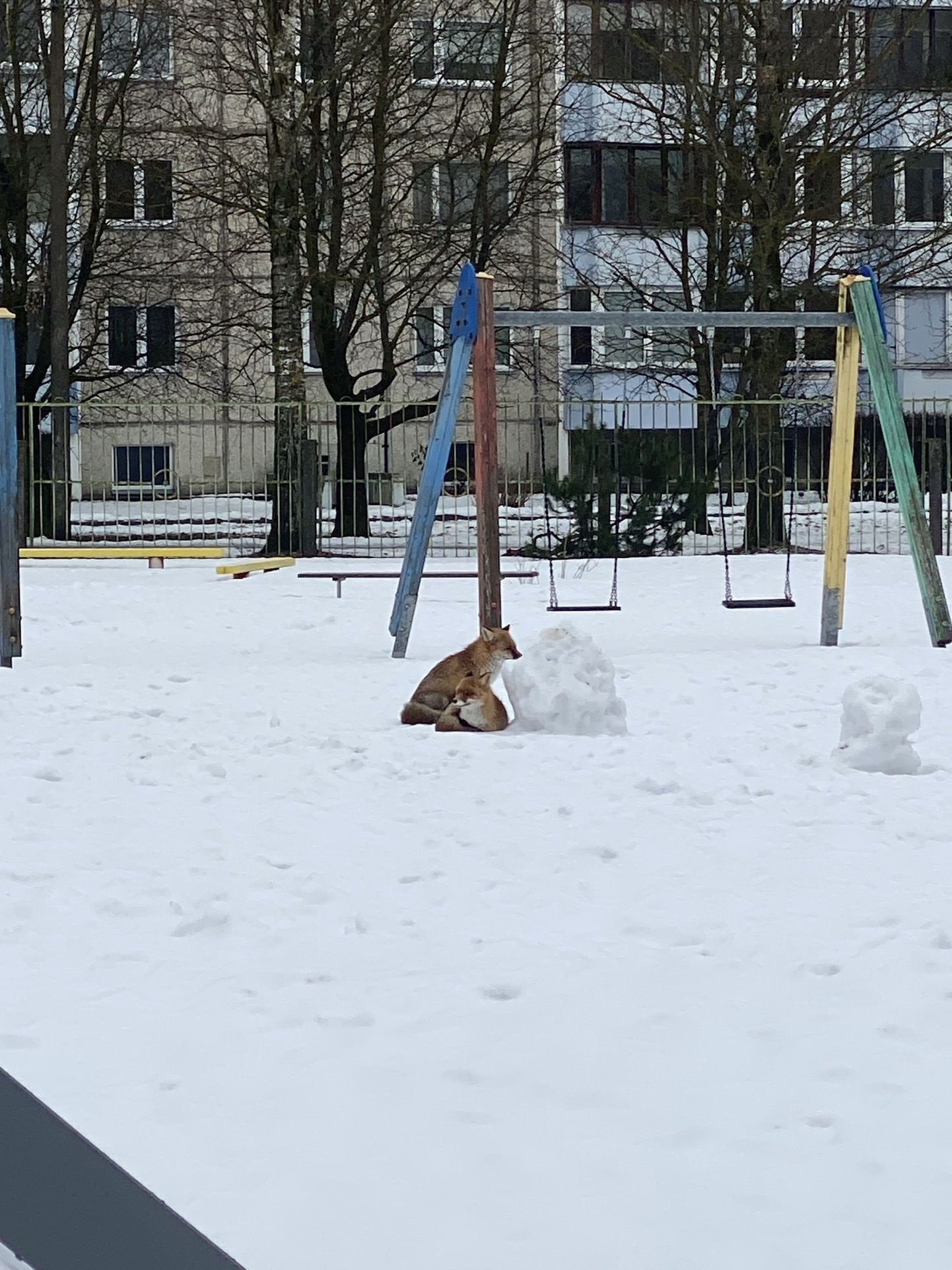 FOTOD Tallinna lasteaeda väisasid pühapäeval armsad külalised