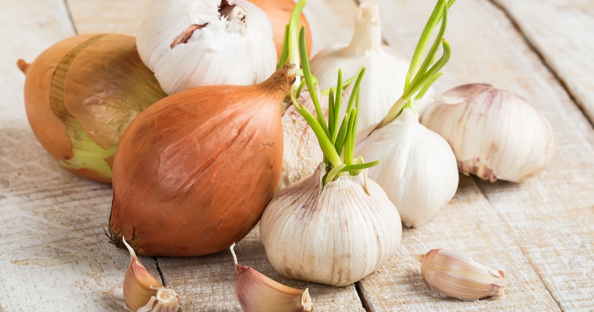 1000-aastane looduslik ravim võib olla uus antibiootikum