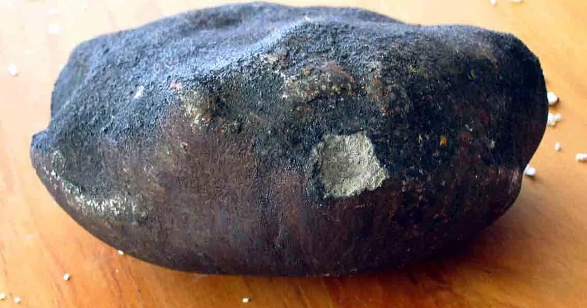 Bosnialane: tulnukad pommitavad minu maja