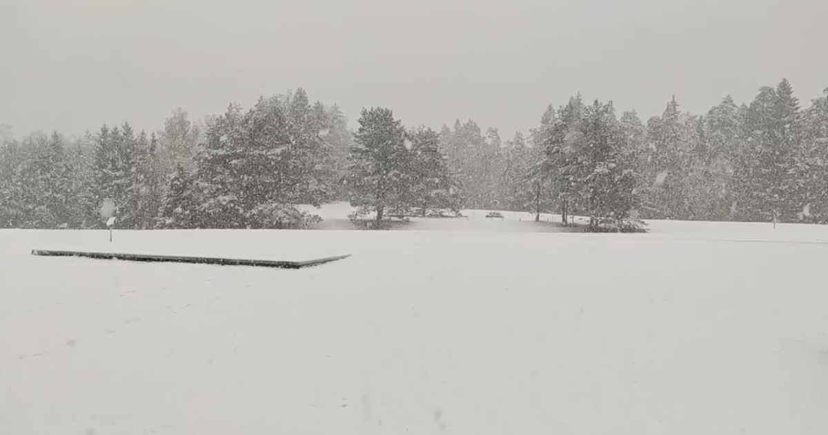 VIDEO Esimene lumi: Kõrvemaa mattus valge vaiba alla - Uudised - Elu24 ...