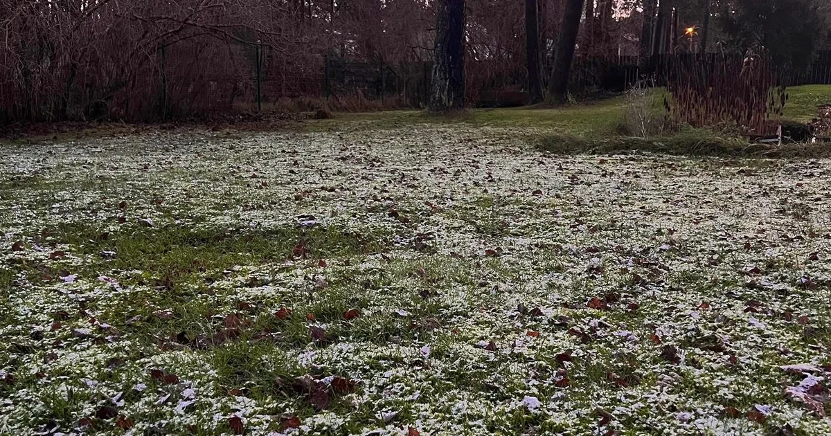 KLÕPS Tali tuleb! Pealinnas oli hommikul kohati juba maa valge