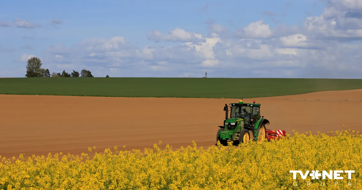 No zemnieku saimniecībām arvien biežāk zog salīdzinoši dārgos augu ...