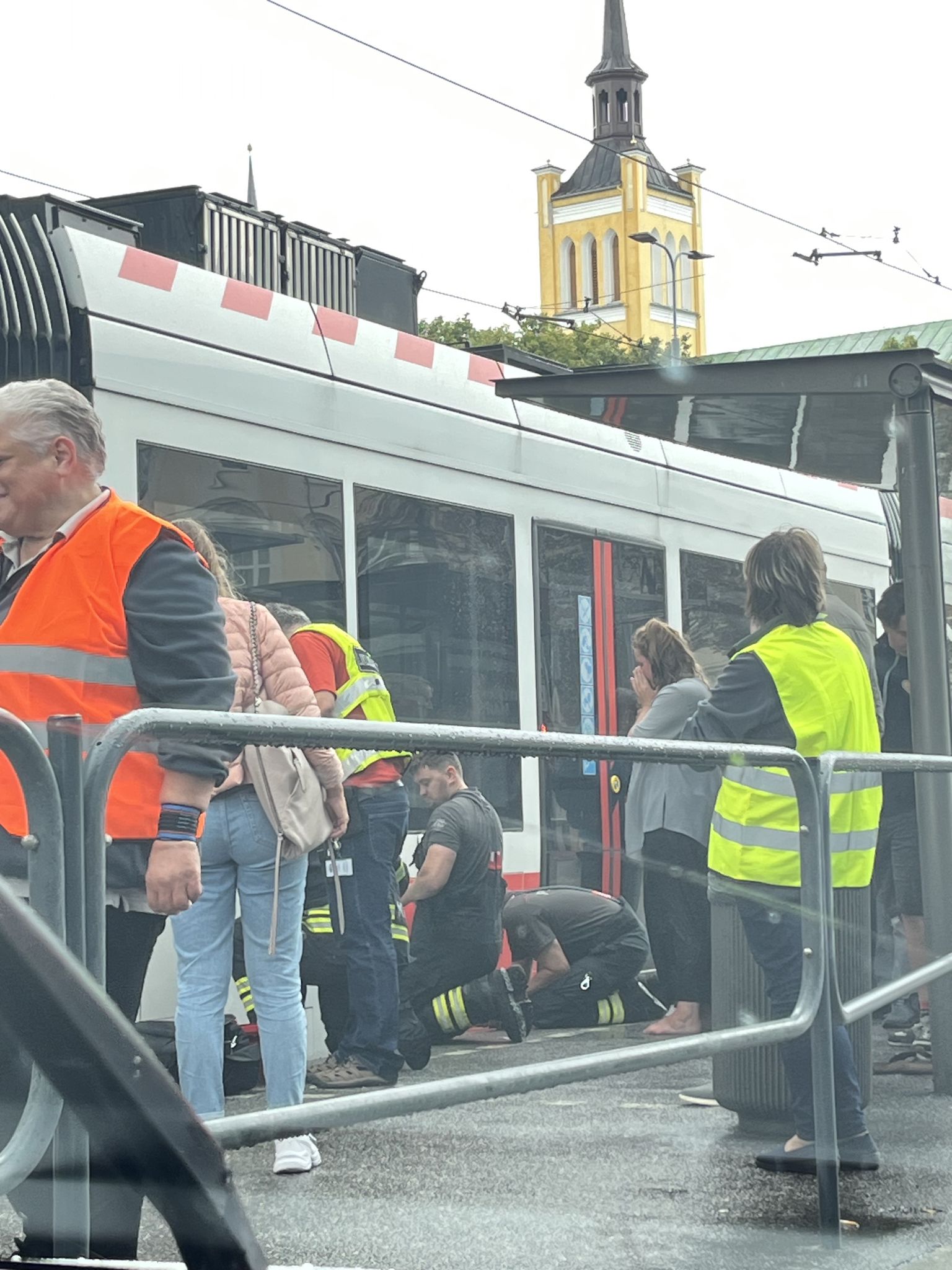 Trammi alla jooksnud kass peatas pooleks tunniks Kopli liini liikluse