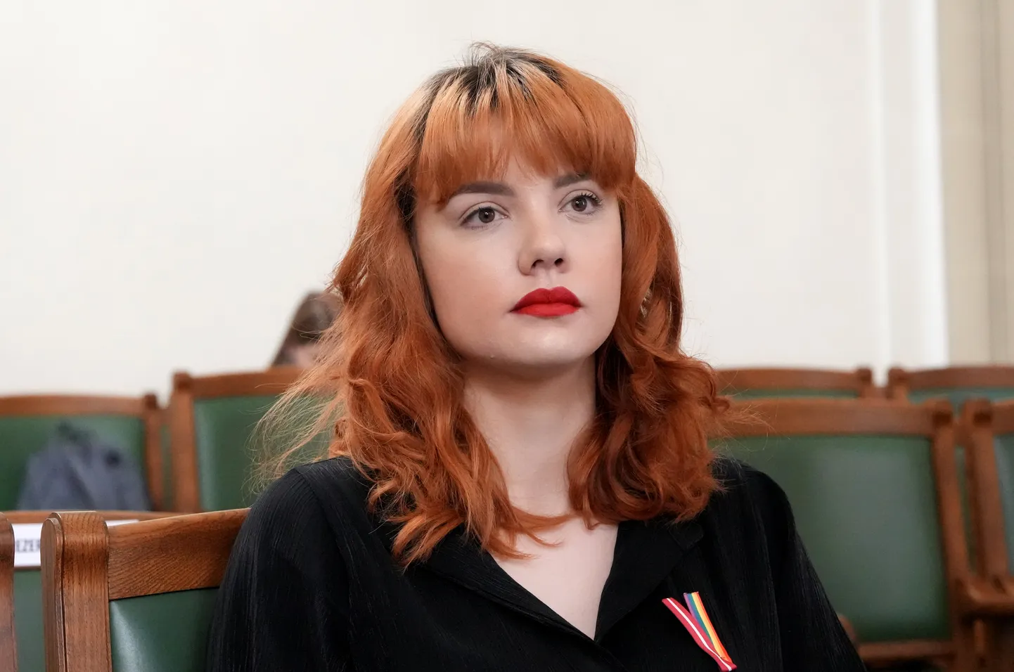 AMATPERSONU DEKLARĀCIJAS Deputāte Levrence deklarējusi vienu sev ...