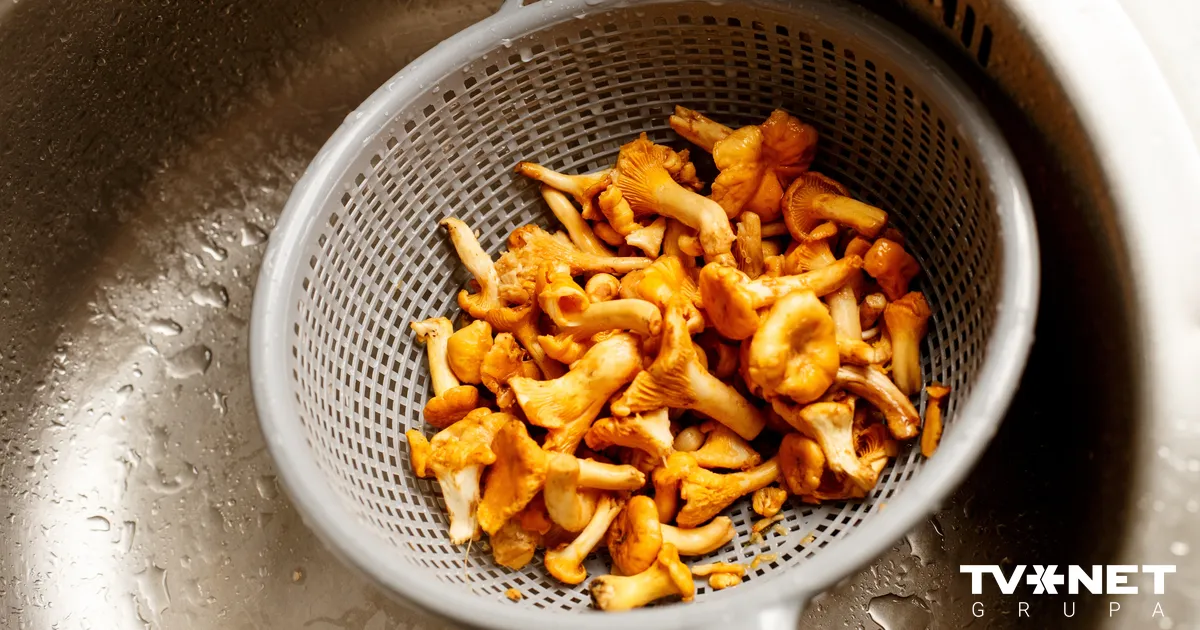 Vai gailenes var mazgāt?