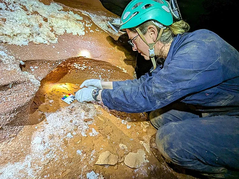 Täiesti pime herilane ja muidki kummalisi loomi – see oli Austraalia ...