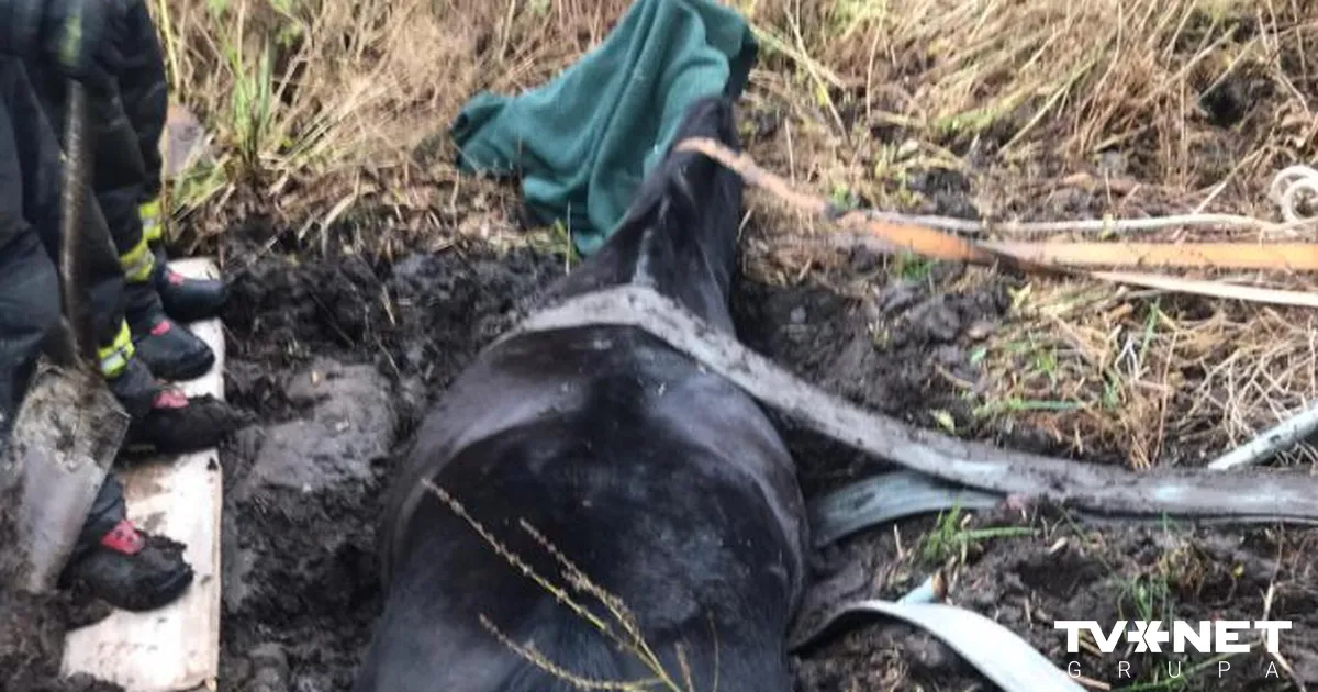 FOTO UN VIDEO Tukuma pusē VUGD sarežģītos apstākļos izglābj pamatīgi ...