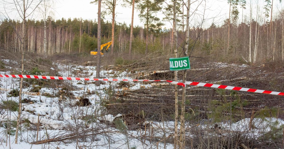 teet suursild - Pärnu Postimees