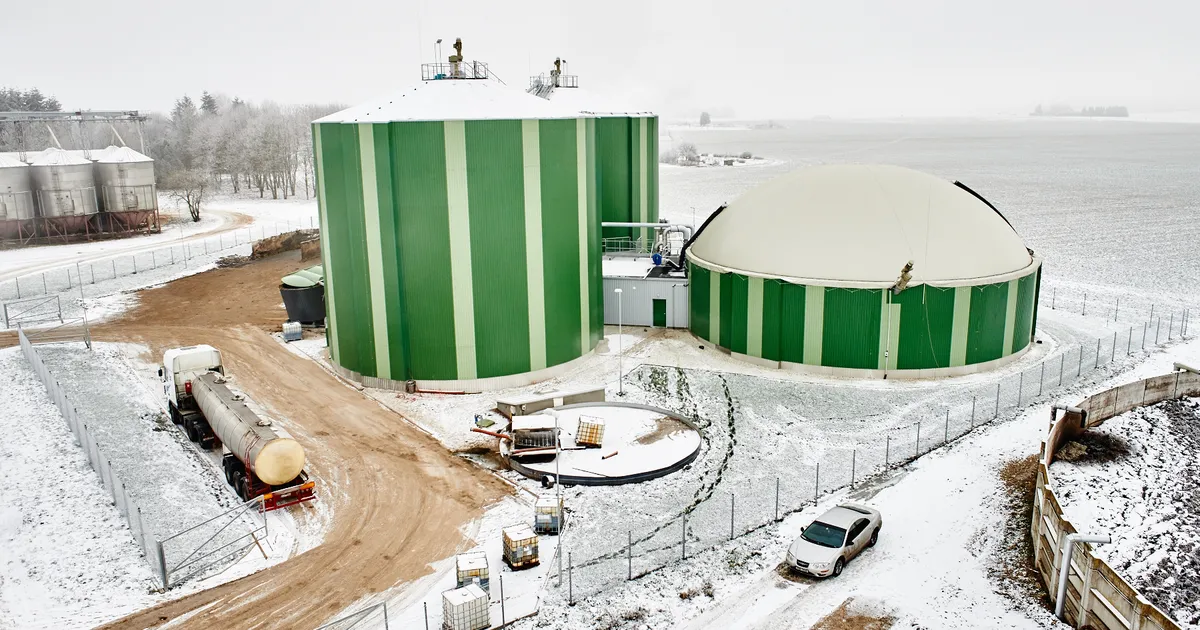 Kui gaasijaam tuleb, aga tüli mitte. Mandri õppetunnid