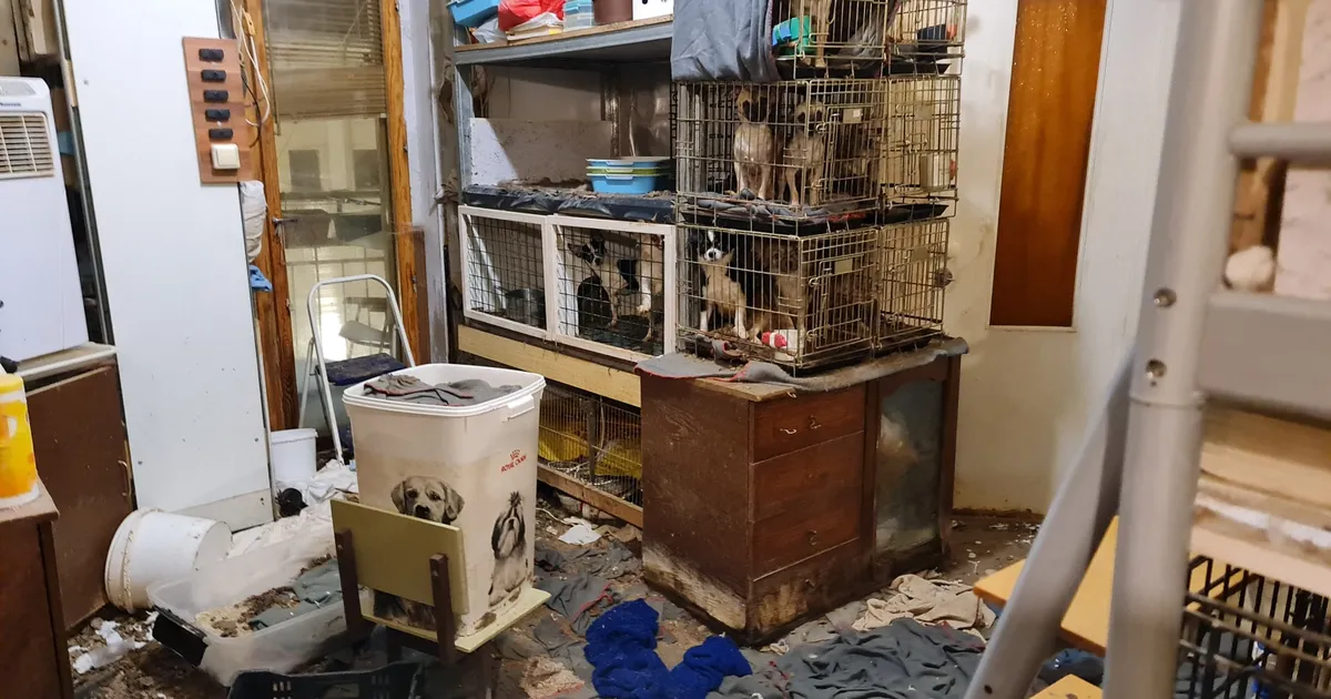 Heiki Valner kutsikavabrikust: uriin tilkus alla naabritele, hais oli ...