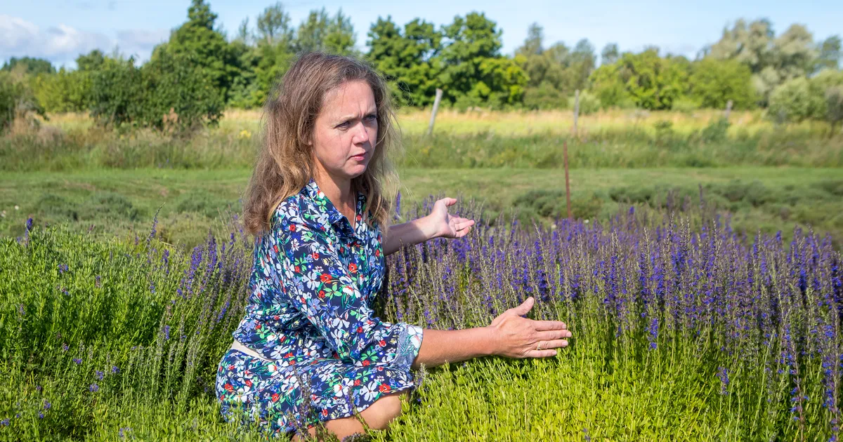 Torgus hakatakse rajama kogukonnaaeda