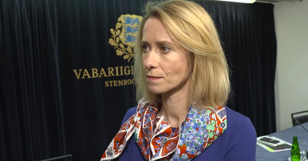 VIDEO Kaja Kallas: kriitikat saan ma alati, ükskõik, mida ma teen
