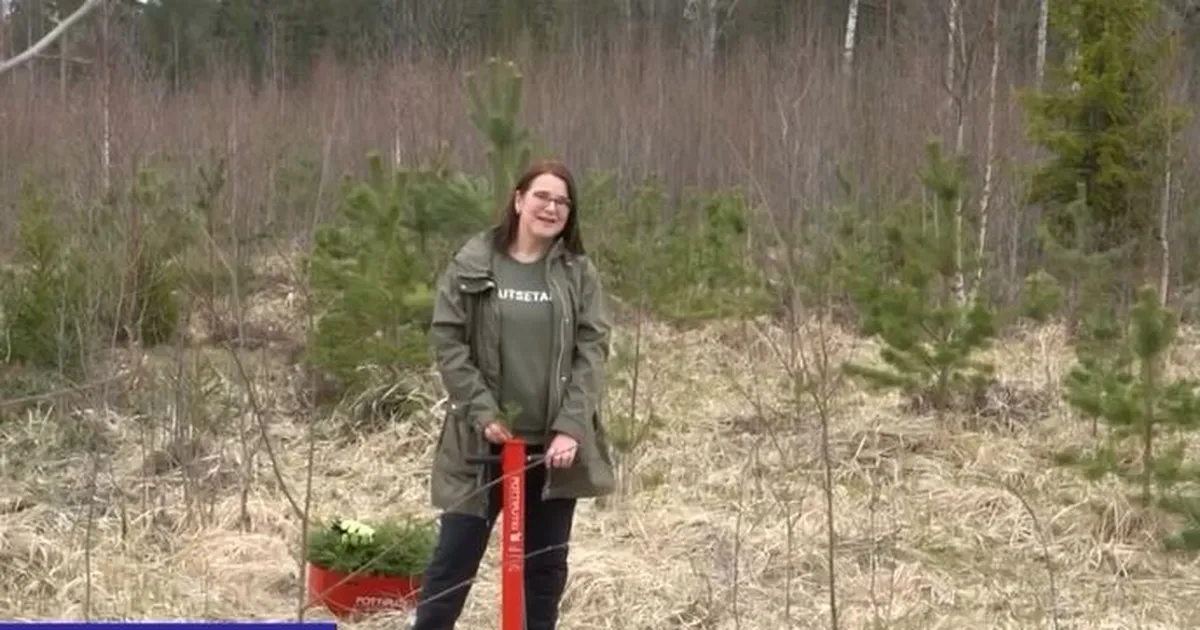 «MINE METSA, VALIJA!» Mis on saanud justiits- ja digiminister Liisa Pakosta valimislubadusest?