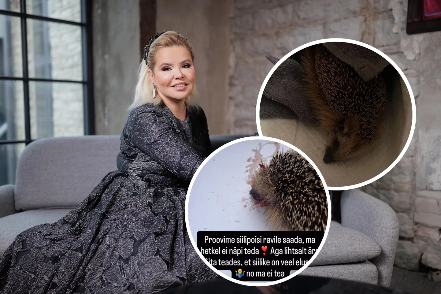 «Siil ei ole süüdi, et sa k****i bemmi ostsid!» Marju Karin võttis auto ...