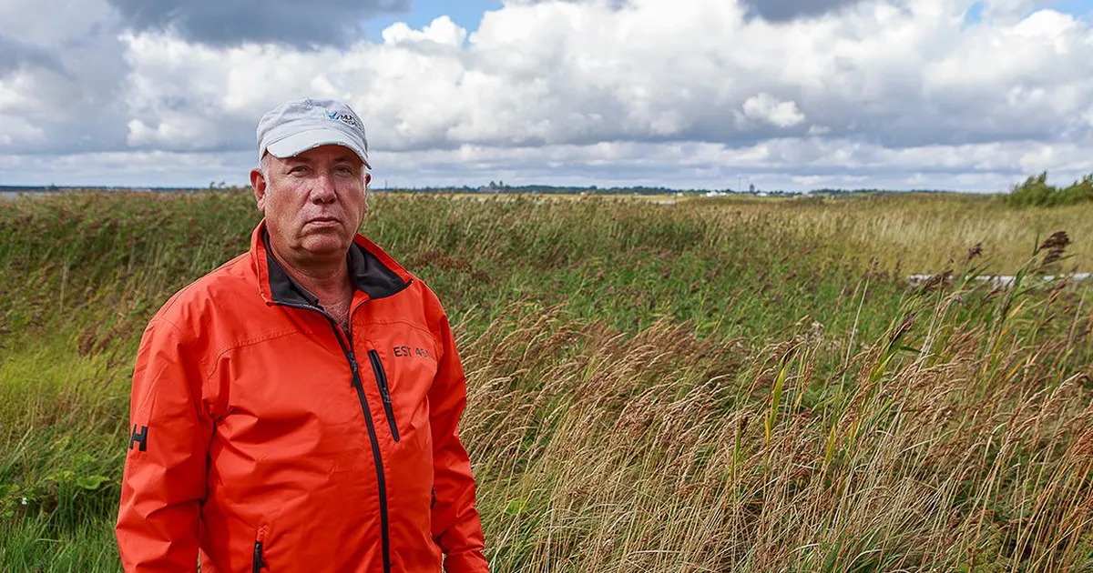 ANDRES TAMM Kuidas Grinch linna varastas