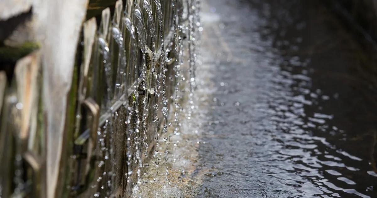 Puhas vesi: kas õigus või kohustus?