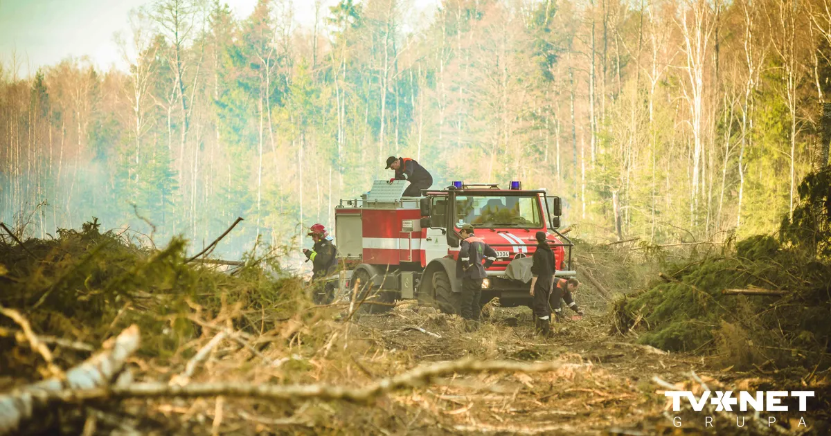 SFRS Reports on Fire Calls and Forest Fire Statistics: Analysis and ...