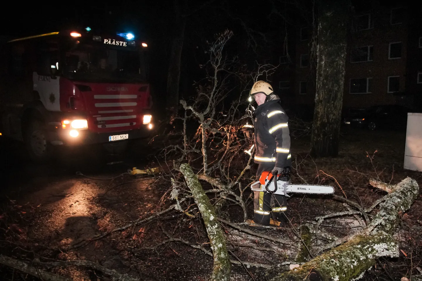 Teele murdunud puud ja oksad võivad kohati häirida liiklust