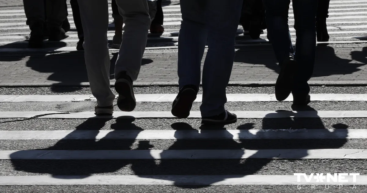 Ogres novada pašvaldība organizē aptauju par Pionieru ielas Ciemupē ...