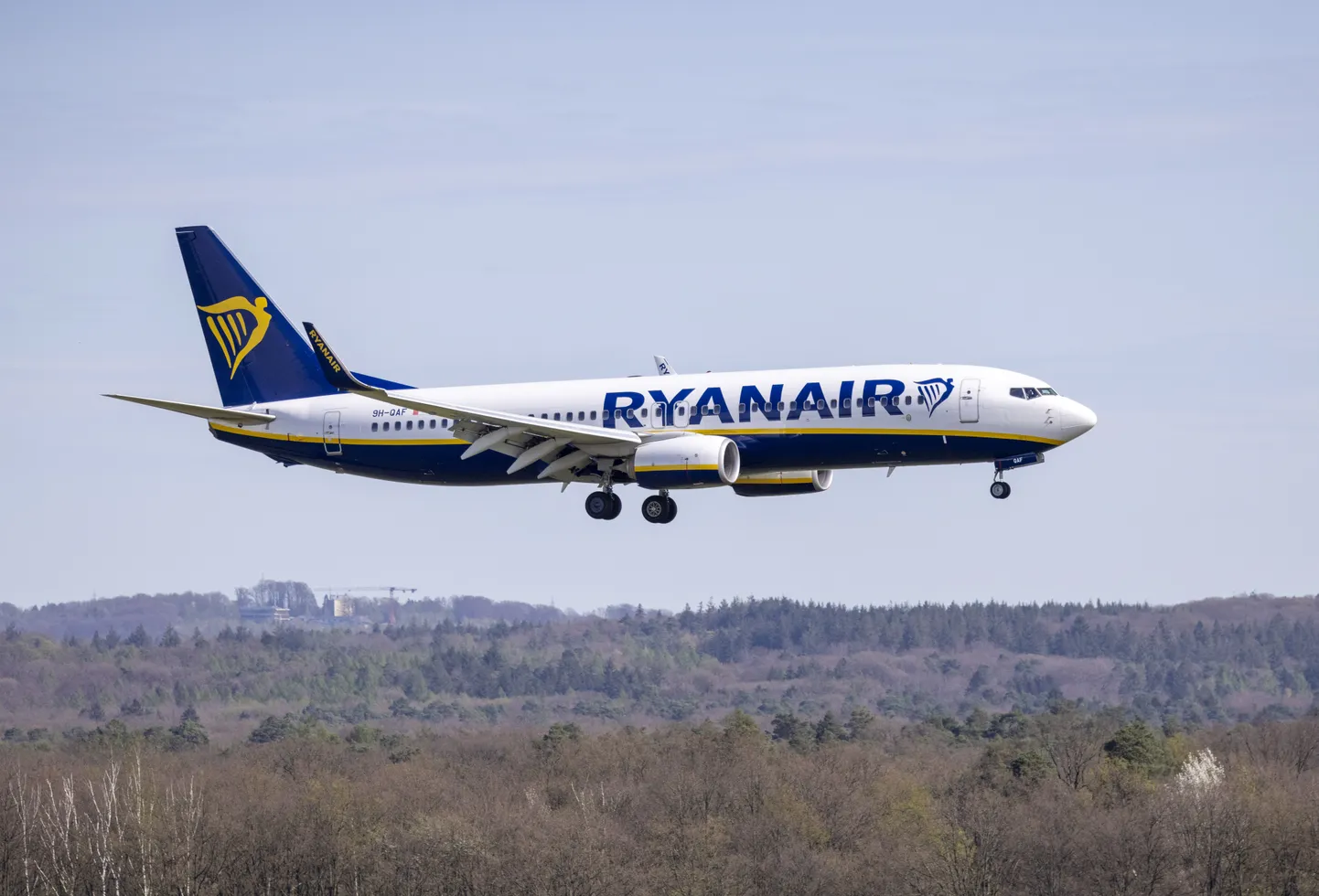Объясняем, какие удивительные правила провоза багажа вводят Ryanair и ...