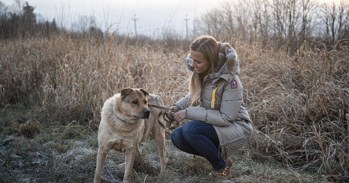 KERTU JUKKUM Millal me koerte omanikud hukkame?